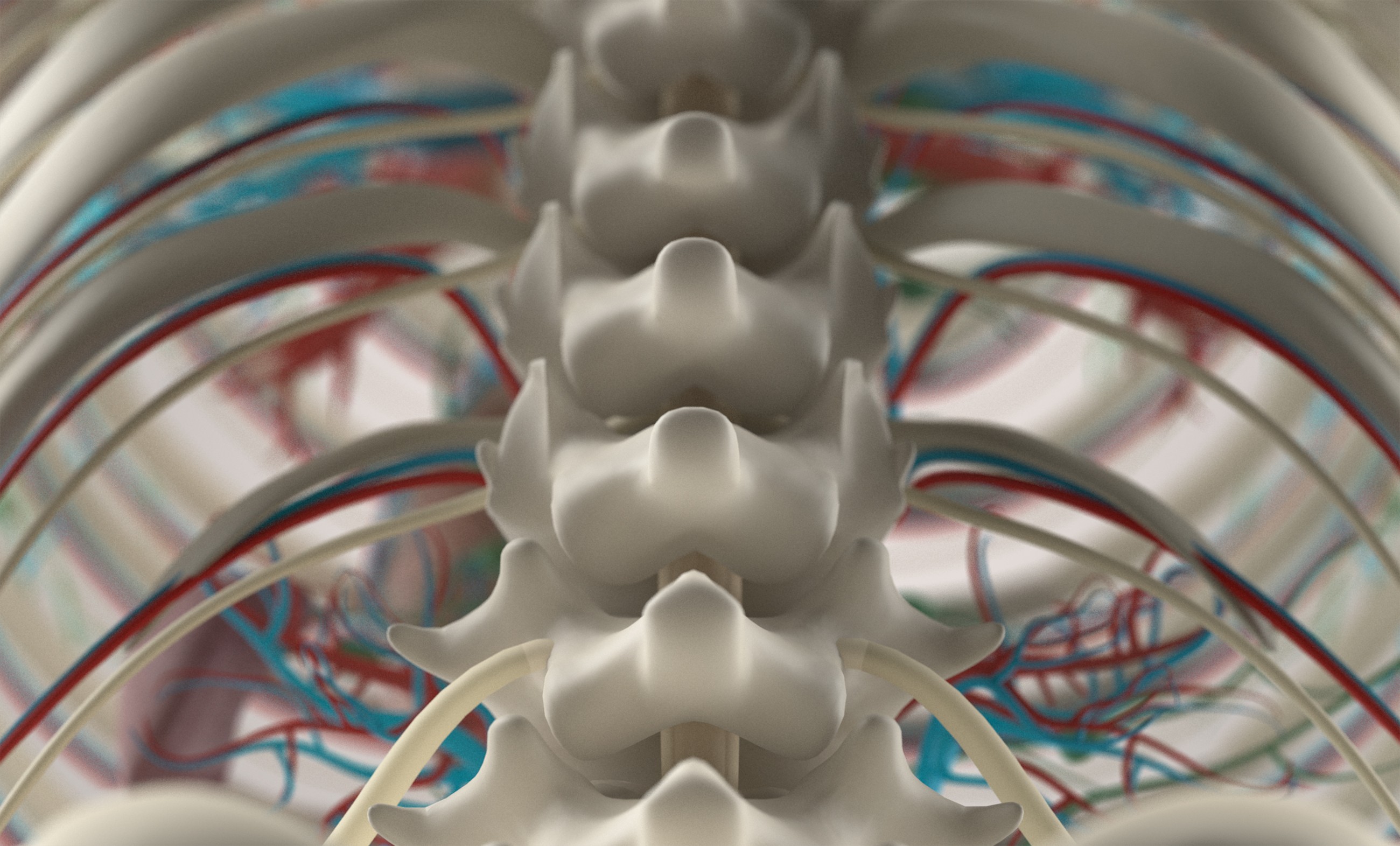 Intercostal Nerve Block And Rhizotomy Intercostal Nerve Block And Rhizotomy